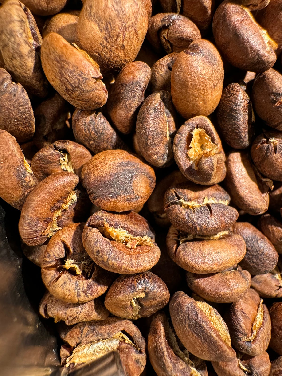 How to Image Individual Coffee Beans? | by Robert McKeon Aloe | Medium