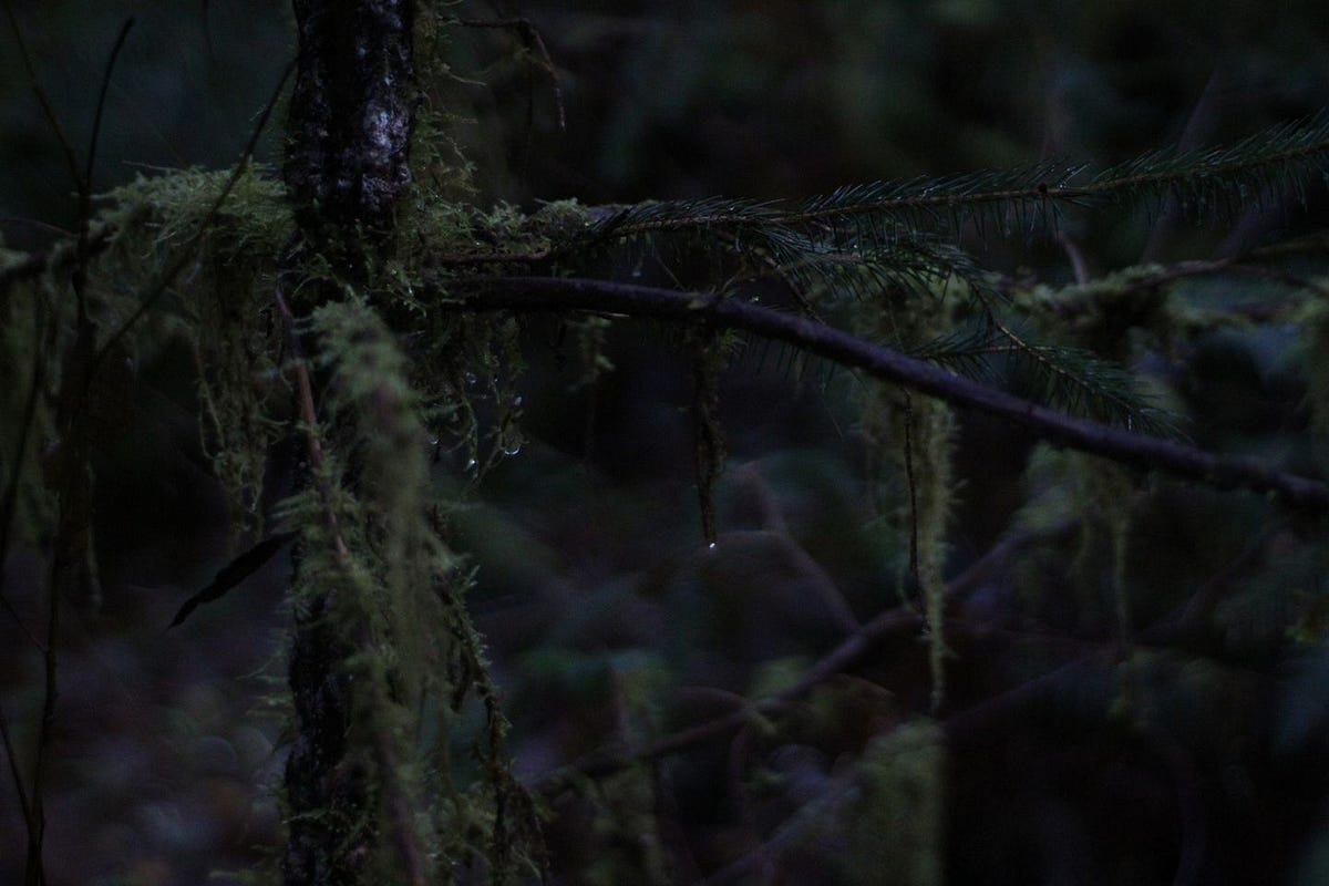 The Deception of Space. Over the past several weeks, I’ve found… | by ...