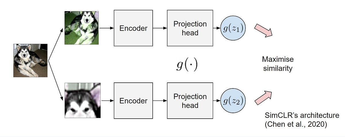 Improving Transformation Invariance in Contrastive Representation ...