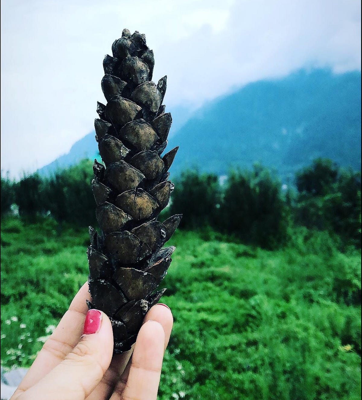 Adventure has been an important ingredient of my blood since I was a ...