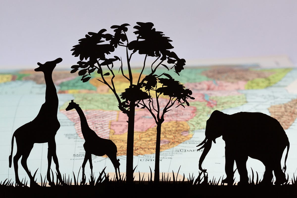 7 Things to Take on Your African Adventure | by Pawnee Simons | Medium
