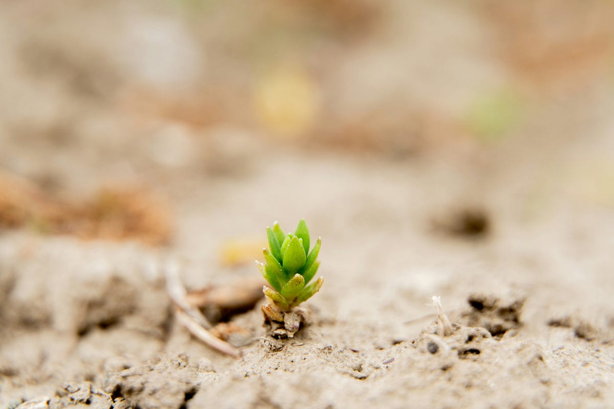 The Power of Self-Acceptance and Personal Growth - Write A Catalyst ...