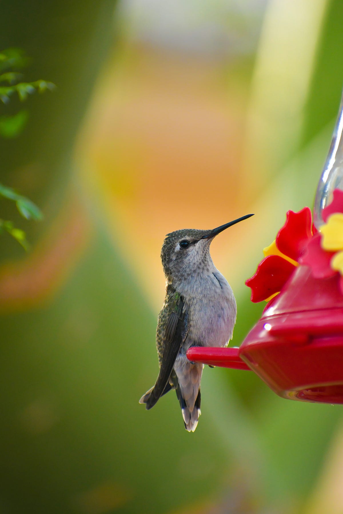 Morning Meeting - Beth Riley - Medium