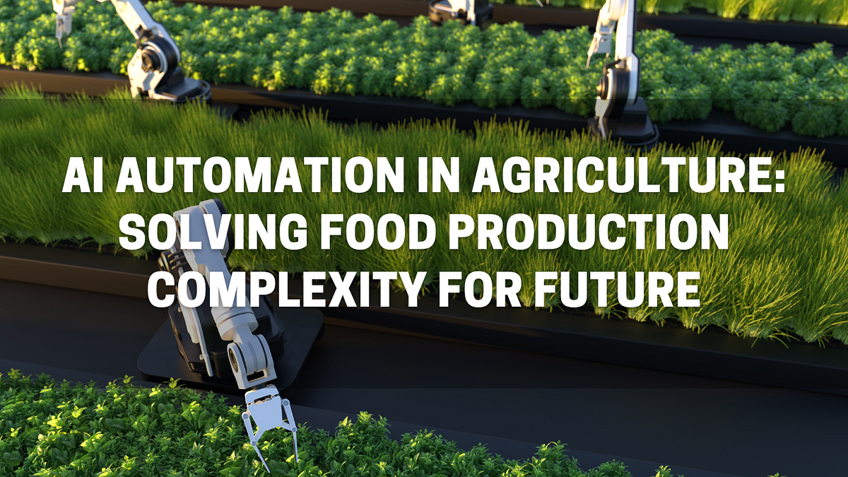 AI Automation in Agriculture: Solving Food Production Complexity for ...