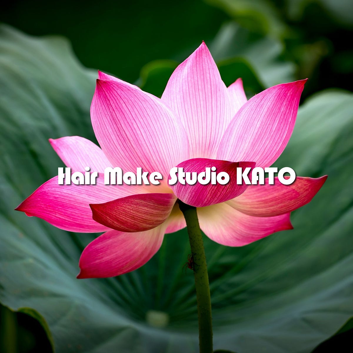 8月の営業カレンダー - Hair Make Studio KATO
