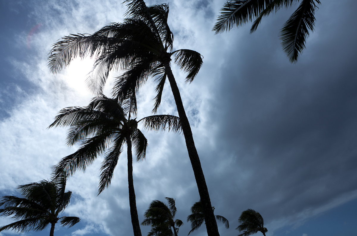 Dark Paradise. The most beautiful place I thought I… | by Judy Condie ...
