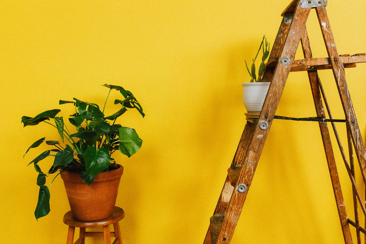 Career Ladders 101. (Founders Series: Part 3) | by Compaas | Medium