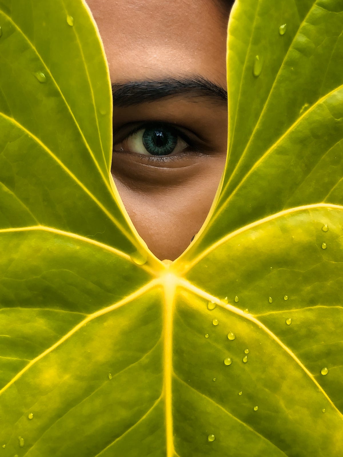 Contemplating, what is beauty? Part 2: beyond subjectivity | by CJ ...