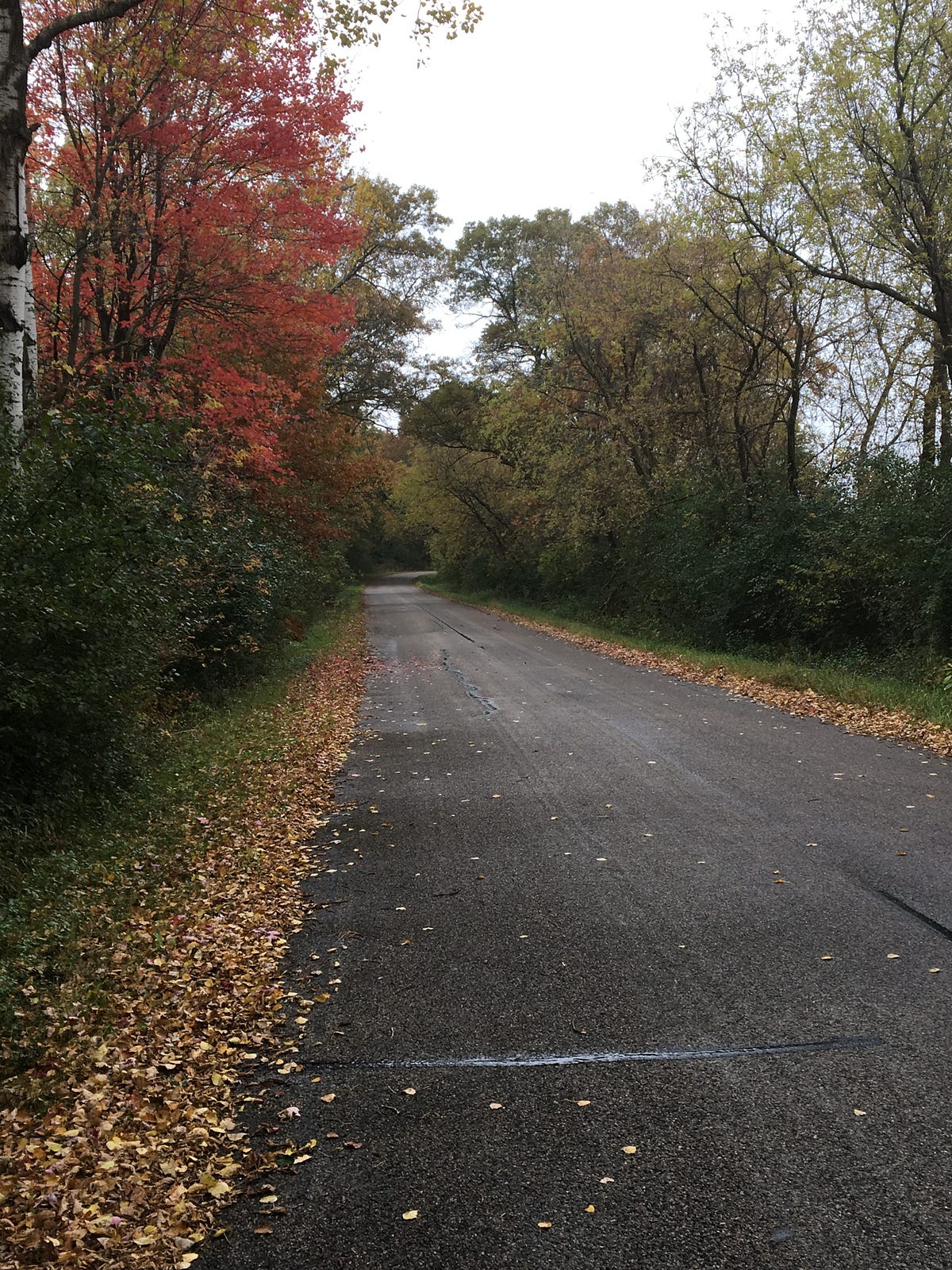 Connector Routes. October 19, 2019 Ice Age Trail — Bohn… | by Jon ...