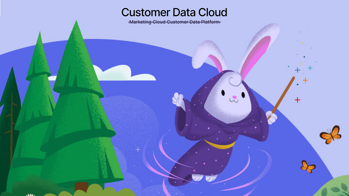 Customer Data Cloud Implementation | by Rafael Santana | Medium