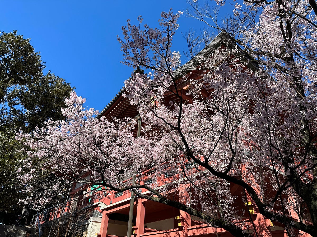 初期旅日紀錄 - Carl - Medium