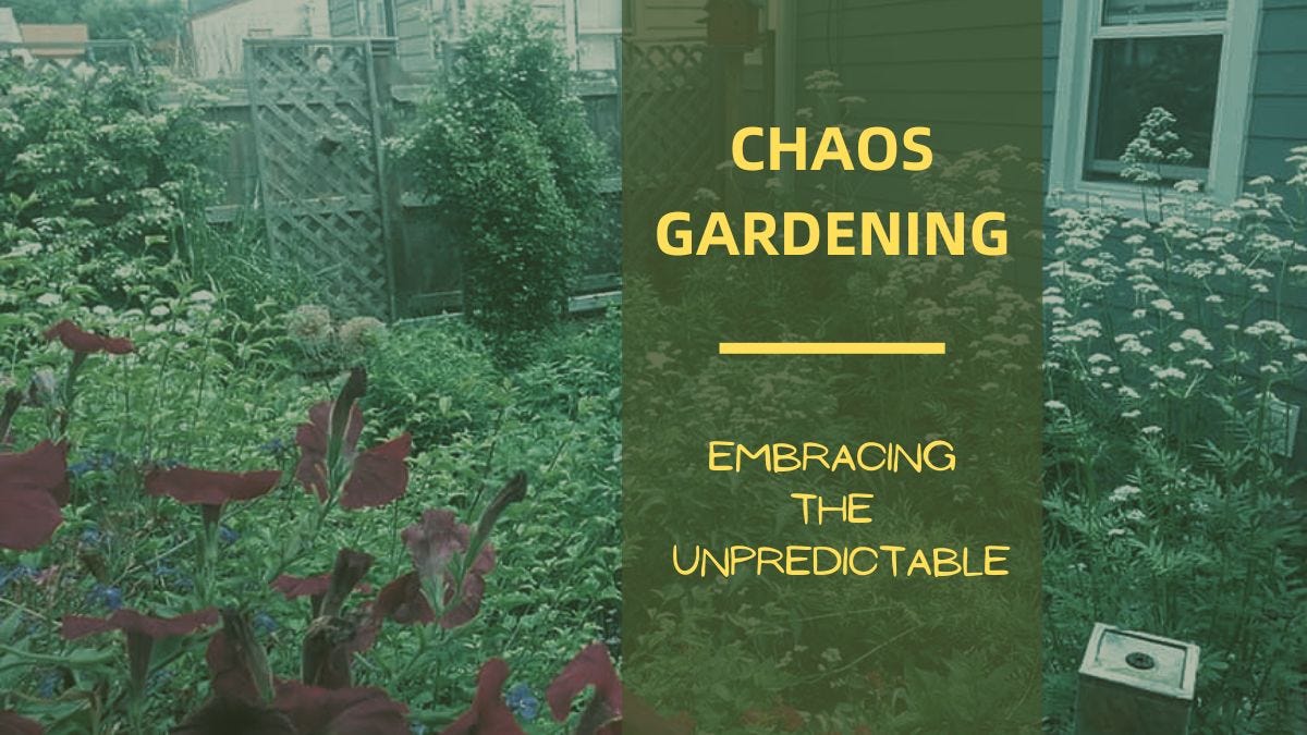 Embracing the Unpredictable: The Art and Philosophy of Chaos Gardening ...