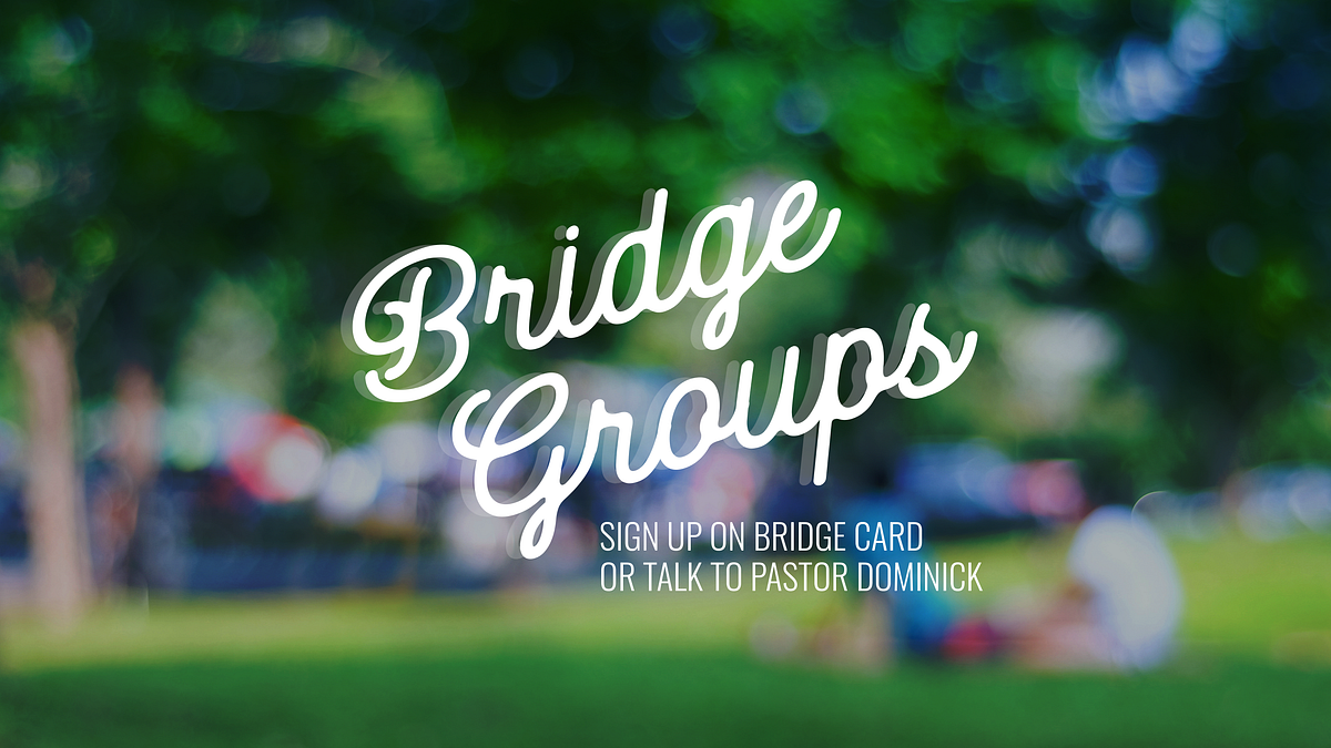 Bridge Groups Starting This Week. Winter break is over, which means it ...