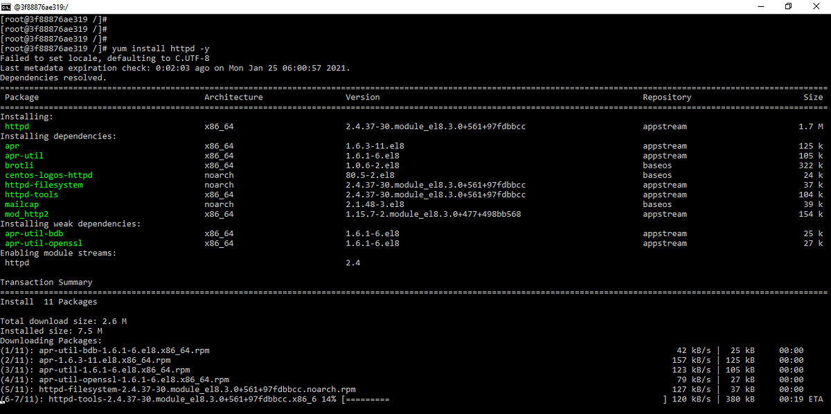 Configuring Webserver And Python Interpreter In Docker Container By