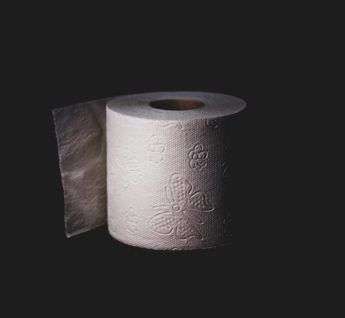 Oh Toilet Paper, How I Miss Thee. A love poem to the one thing I cannot ...