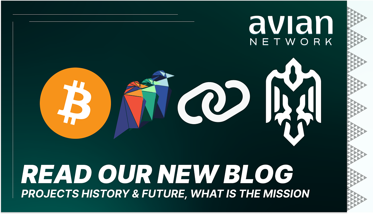 What is Avian Network? - Projects history and long-term goals | by avianfoundation | Jul, 2024 ...