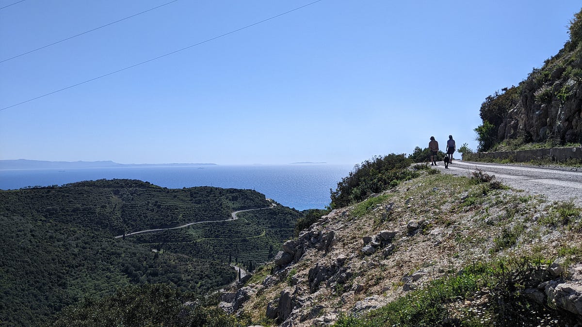 Remembering the fork in the road. Good lord am I forgetful | by Daniel ...