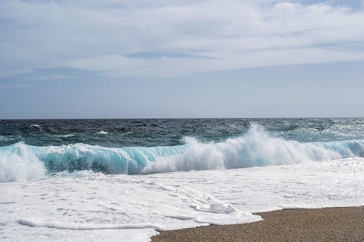 Pacific Ocean Serenade - Scribe - Medium