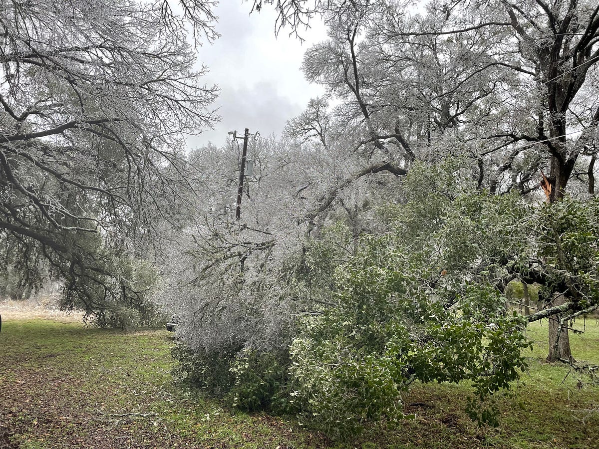 Why is Texas is closed due to Winter? | by Skye Howell (she/her ...