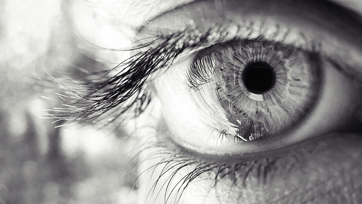 The Power of The Objective Perspective. | by Austin Griffin | Medium