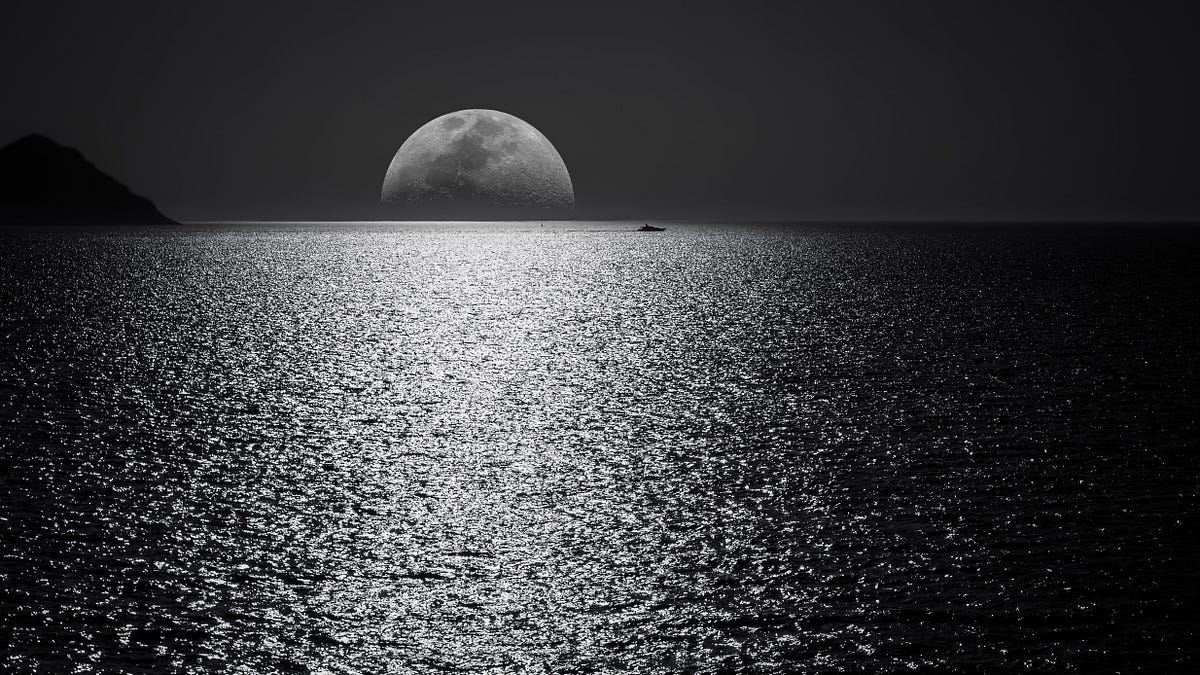 A Wild Moon. In Japan long ago friends gathered at… | by Jeff Brooks ...