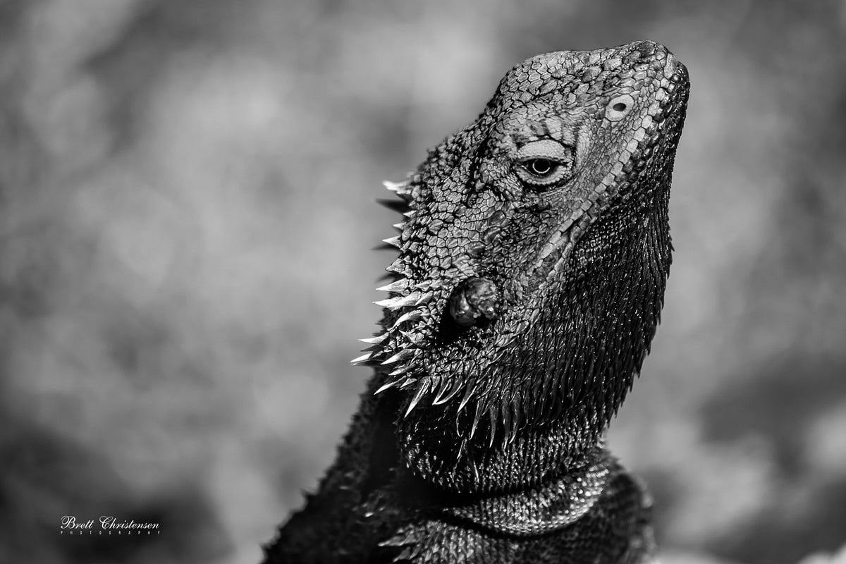 Appearances Matter. A Haiku | by Deborah Christensen | Daily Connect ...