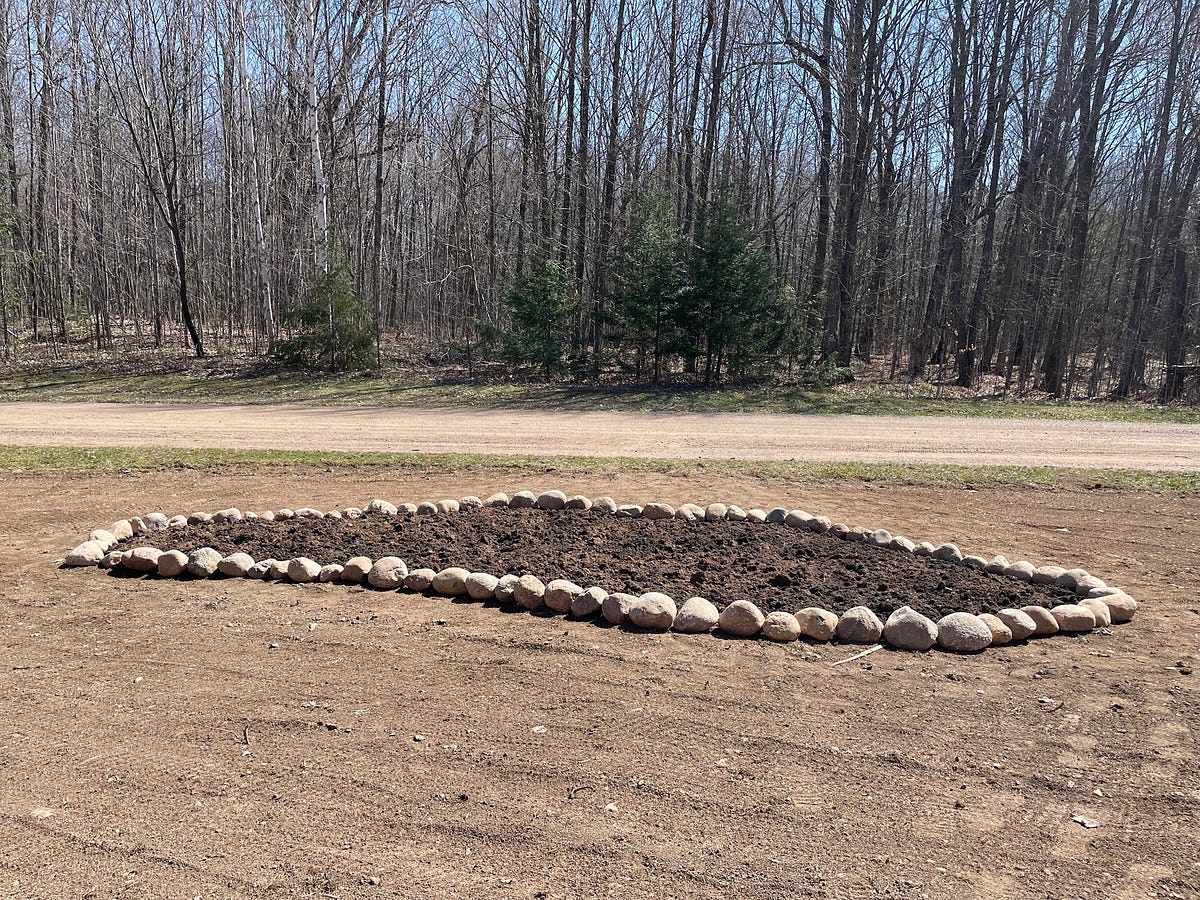 What’s With The Rock Questions? - The Daily Cuppa - Medium