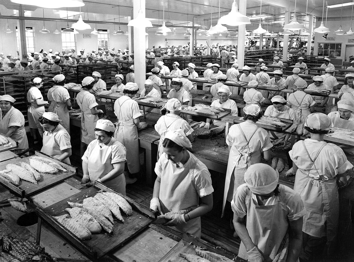 Women and the Seafood Industry — A Case for Fishcoin and a Personal ...