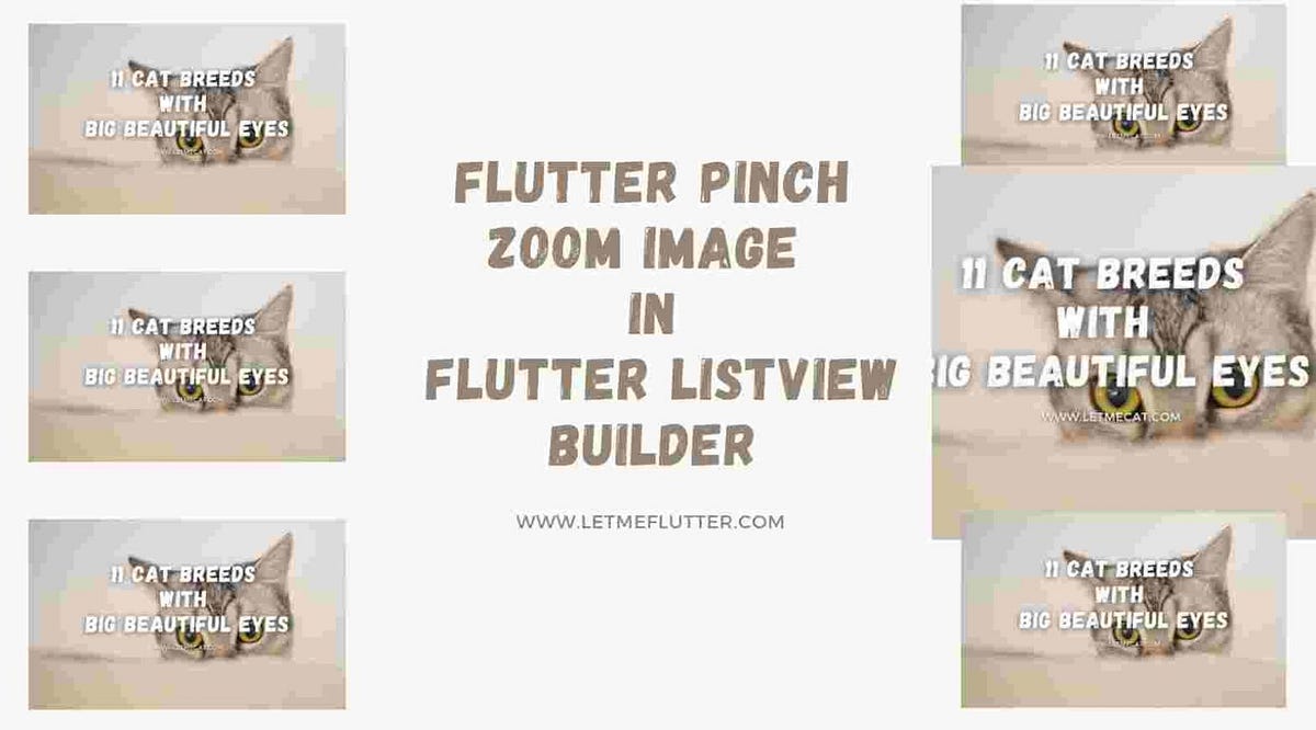 Flutter Pinch Zoom Image In ListView Builder | by Zeeshan Ali | Medium