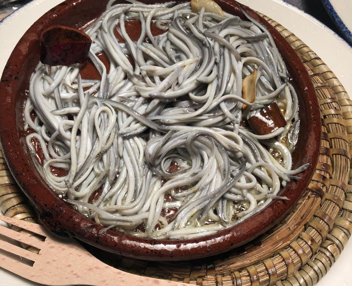Baby Eels