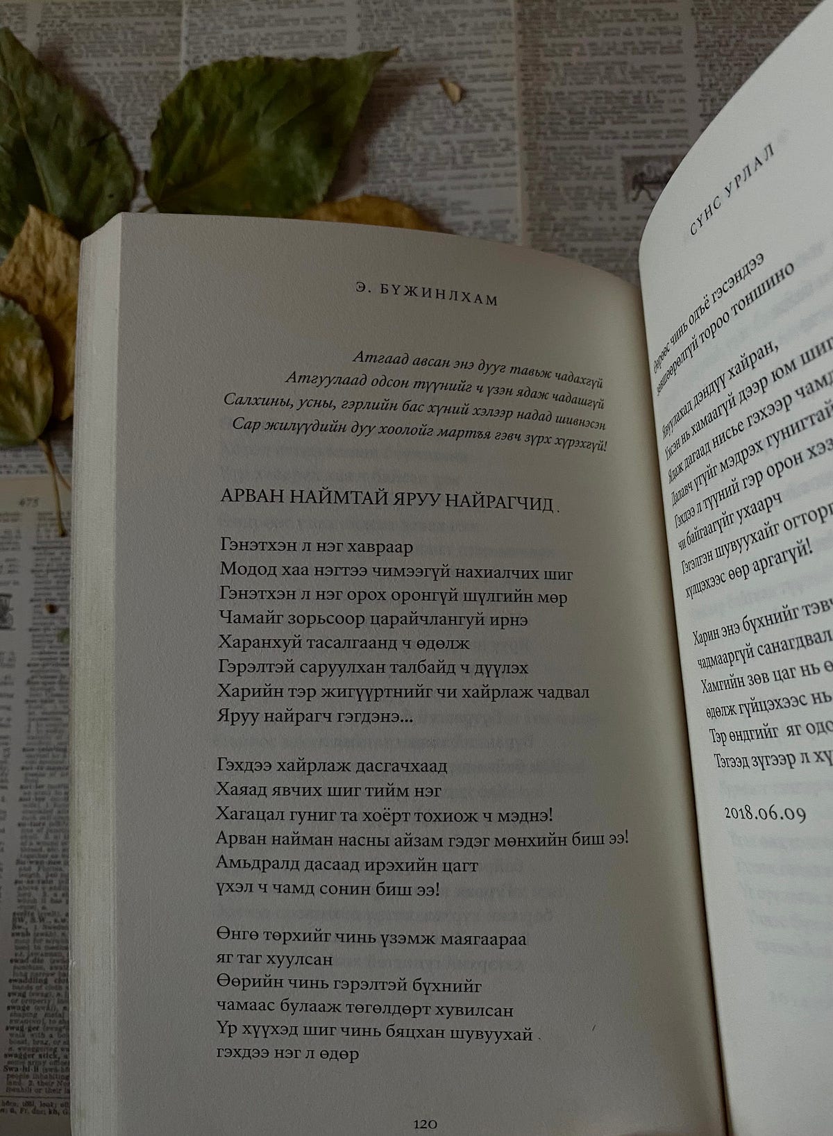 🌻 - Bujin Ulambayar - Medium