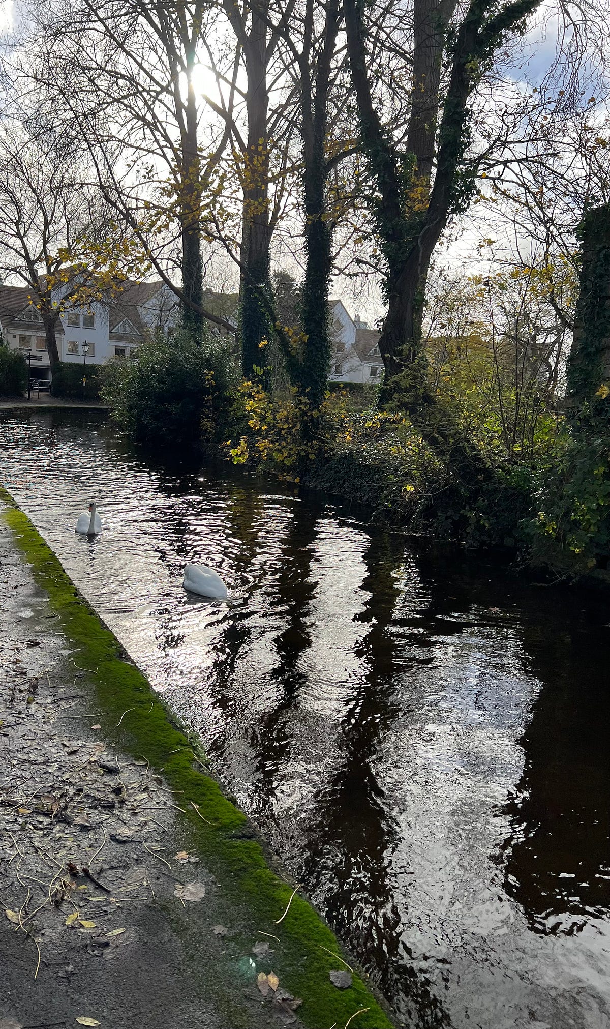 Flow - Macey - Medium