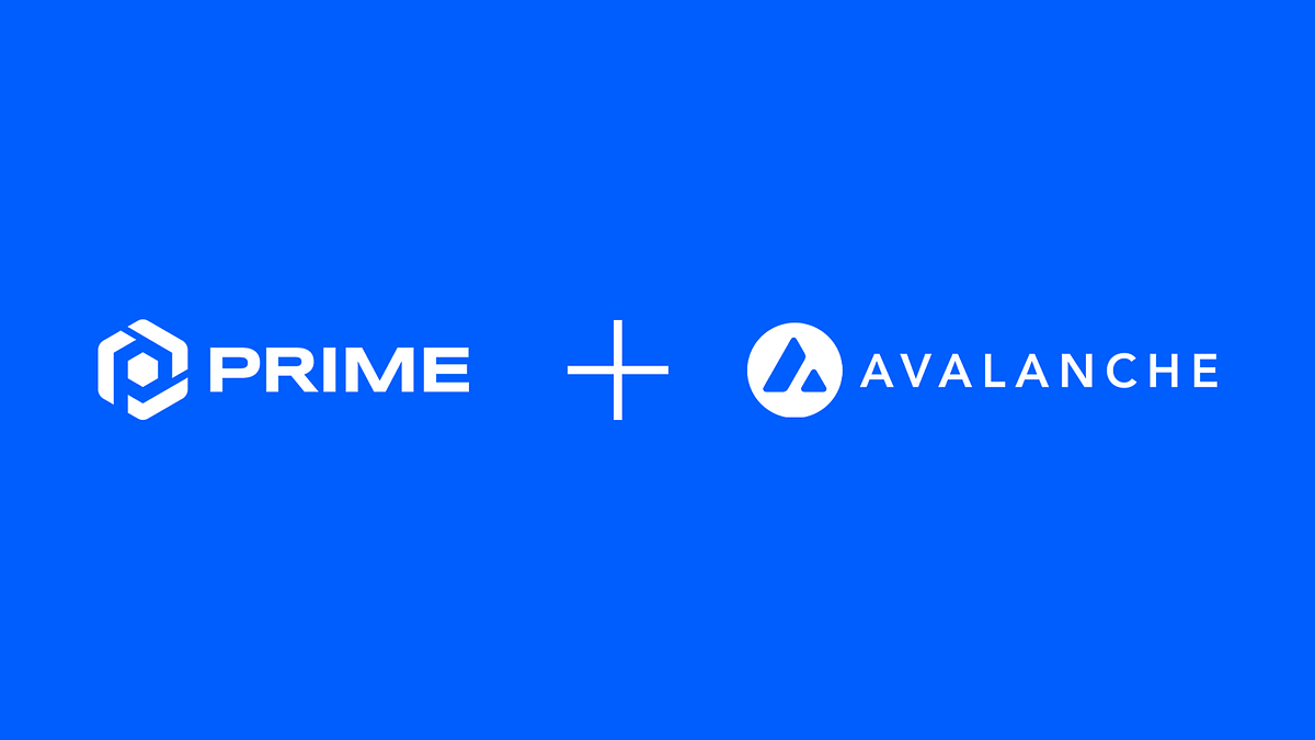 Prime Protocol is Entering the Avalanche Ecosystem! | by Prime Protocol ...