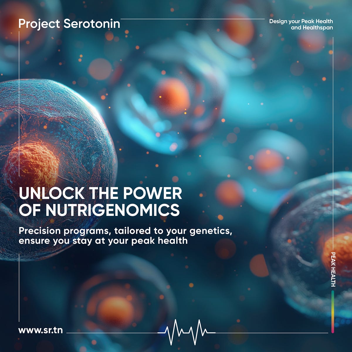 How your health data can drive Precision Health for you? | by Project ...