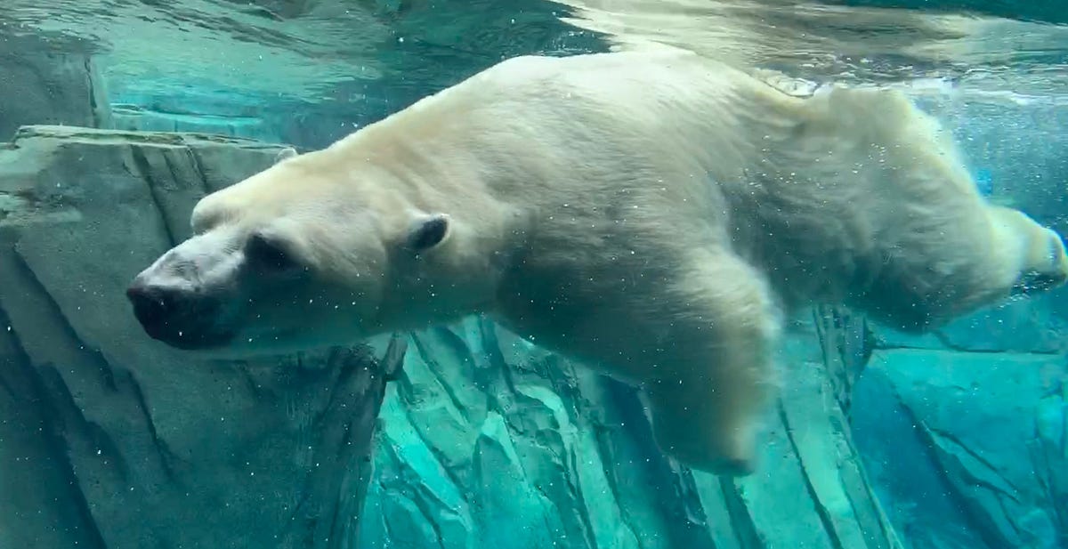 Type 2 slowly changing dimension with Polars and Delta Lake | Medium