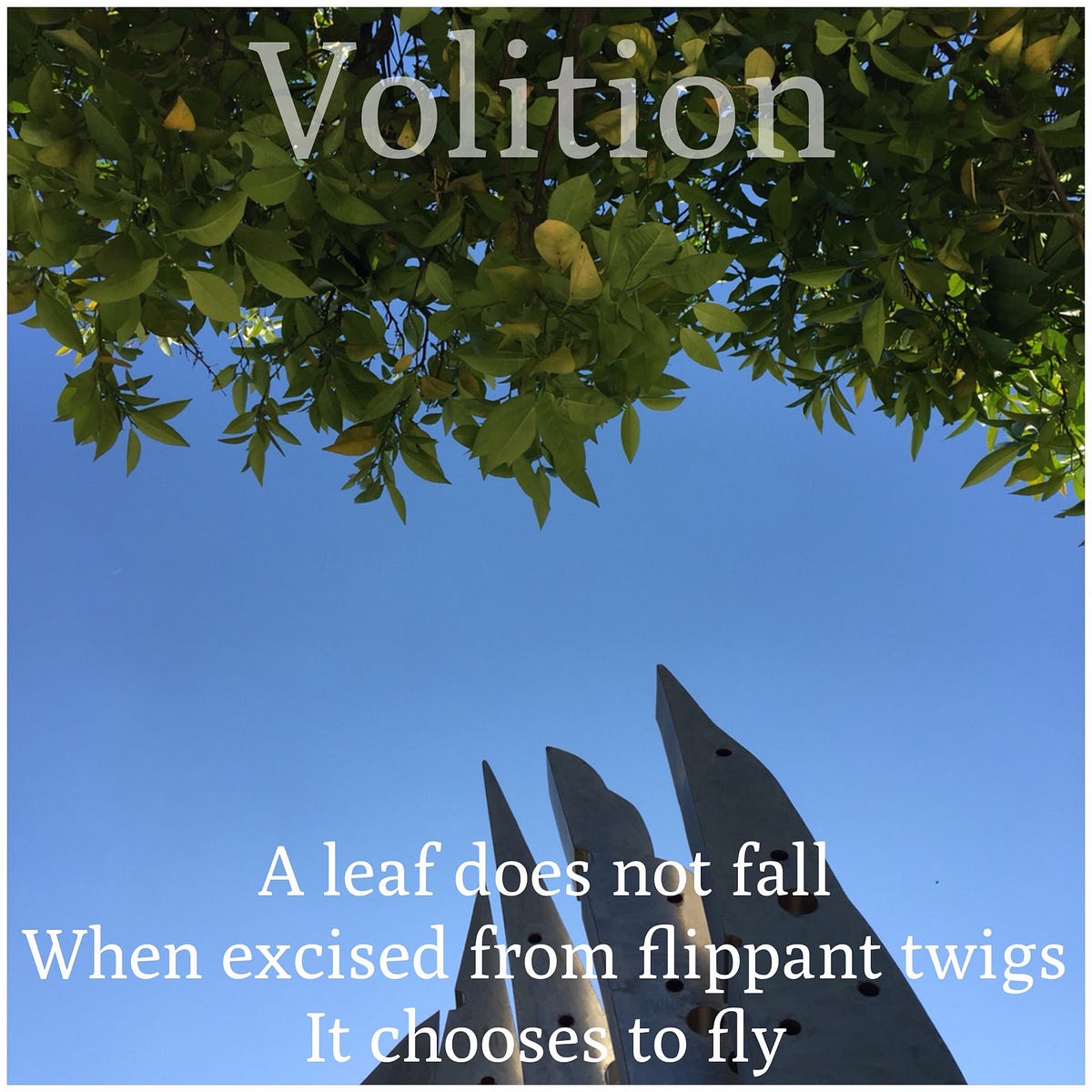 Volition •. People make themselves sad. | by Greg C. Bolanos | Medium