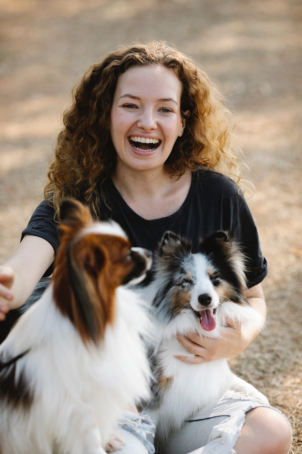 Some Pets Look Exactly Like Their Owners | by Fareeha Sheikh ...