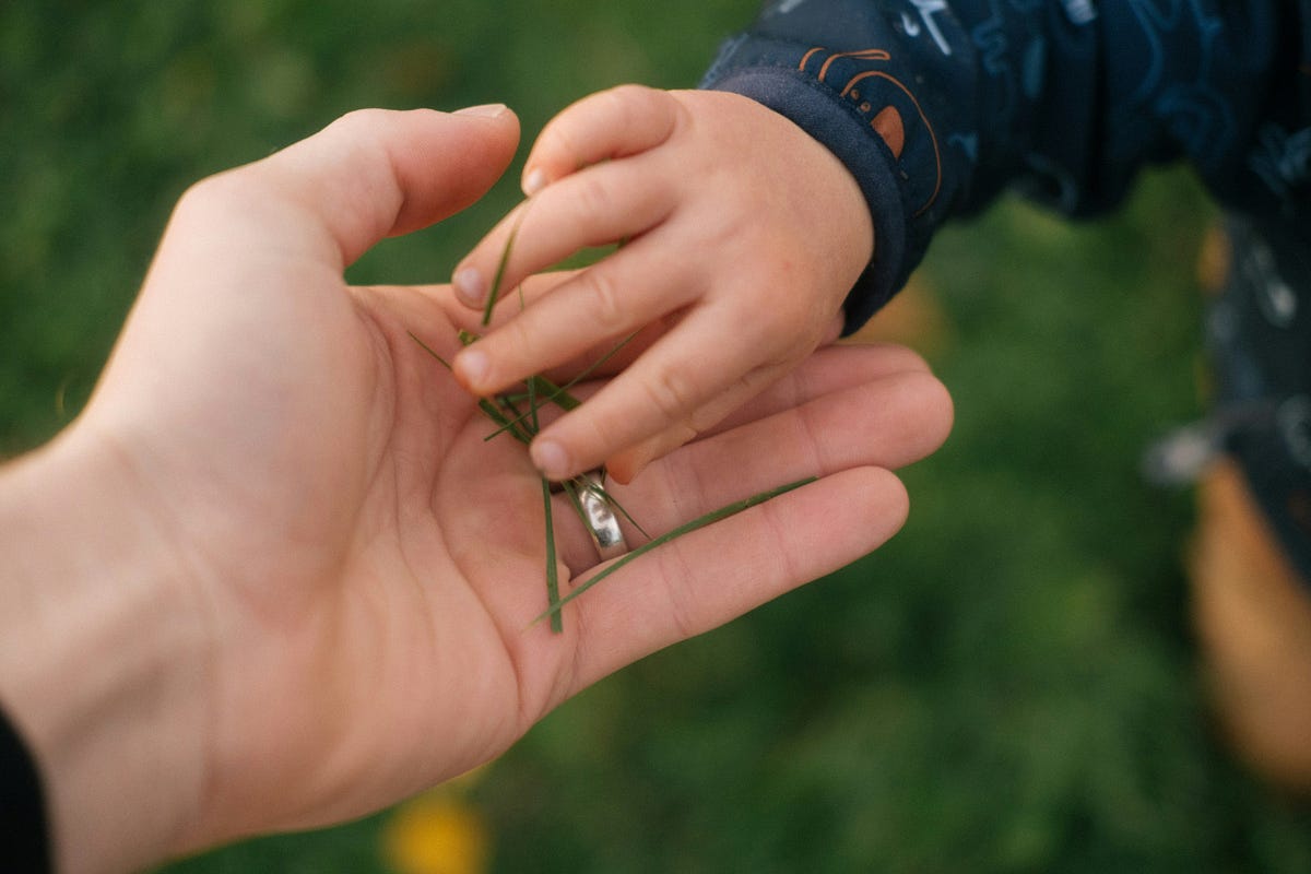 BUILT TOUGH, LEARNING SOFT. Strength raised them, Softness is… | by ...