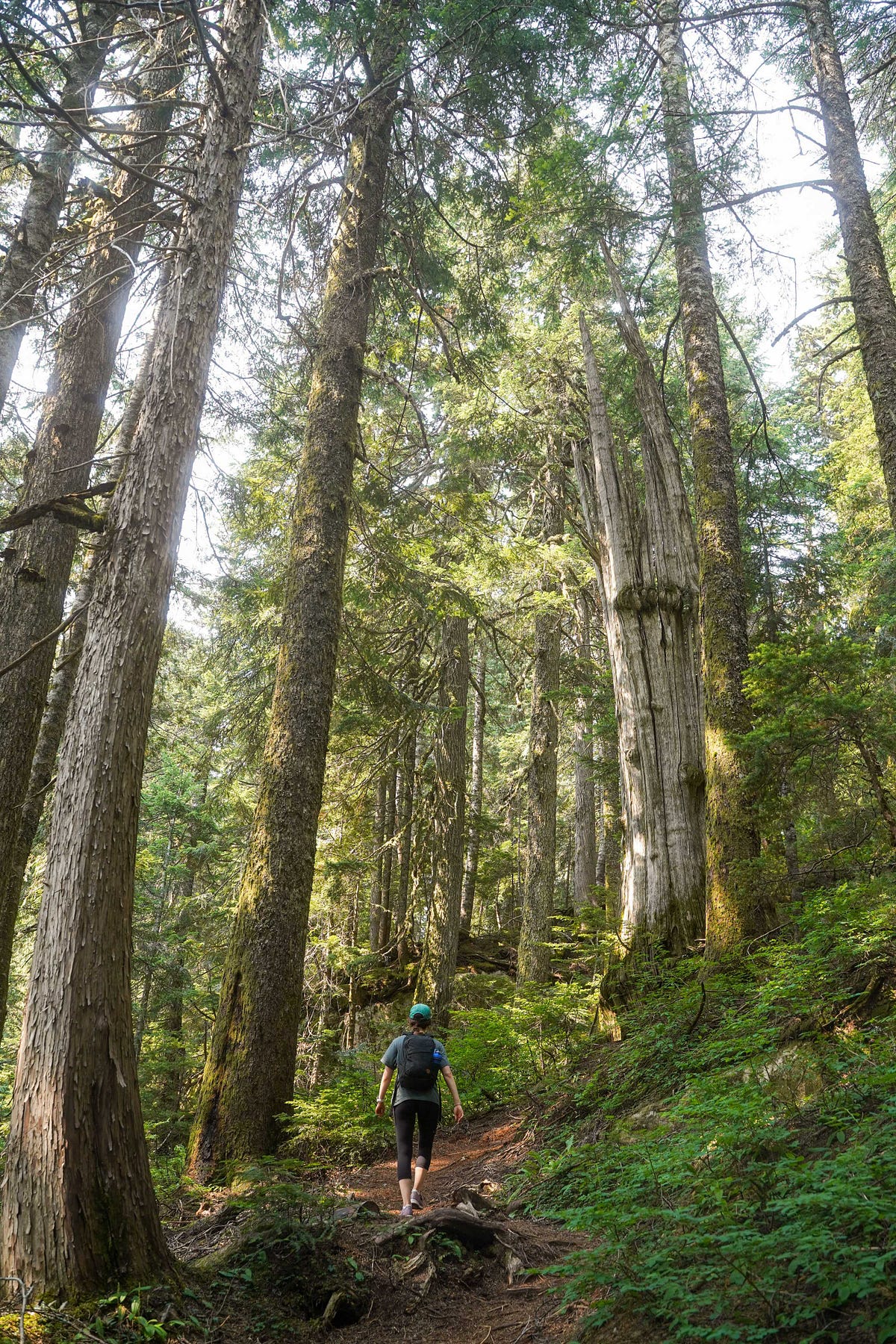 Communing with Nature in Vancouver: A Photo Essay | by Shiyan ...