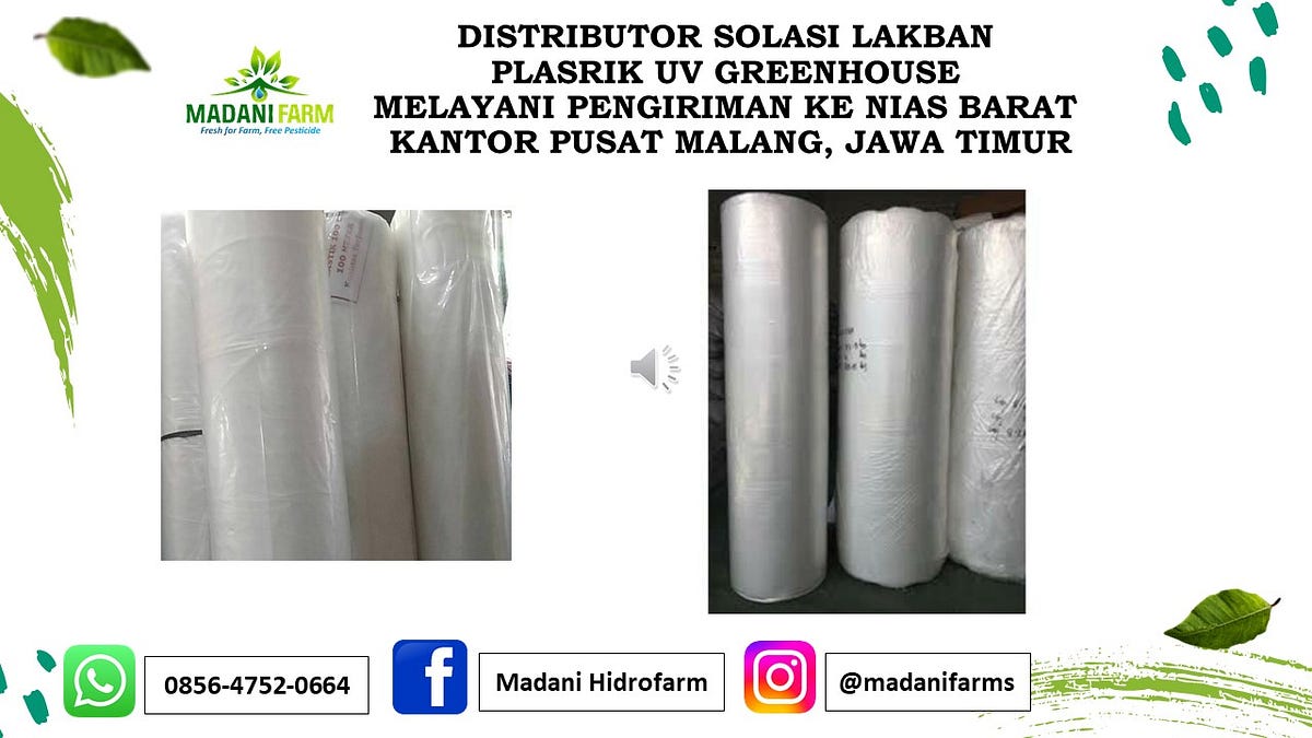 Produsen!!!HP/WA 0856–4752–0664 Insecnet Nias Barat | by Rayhanteguh ...