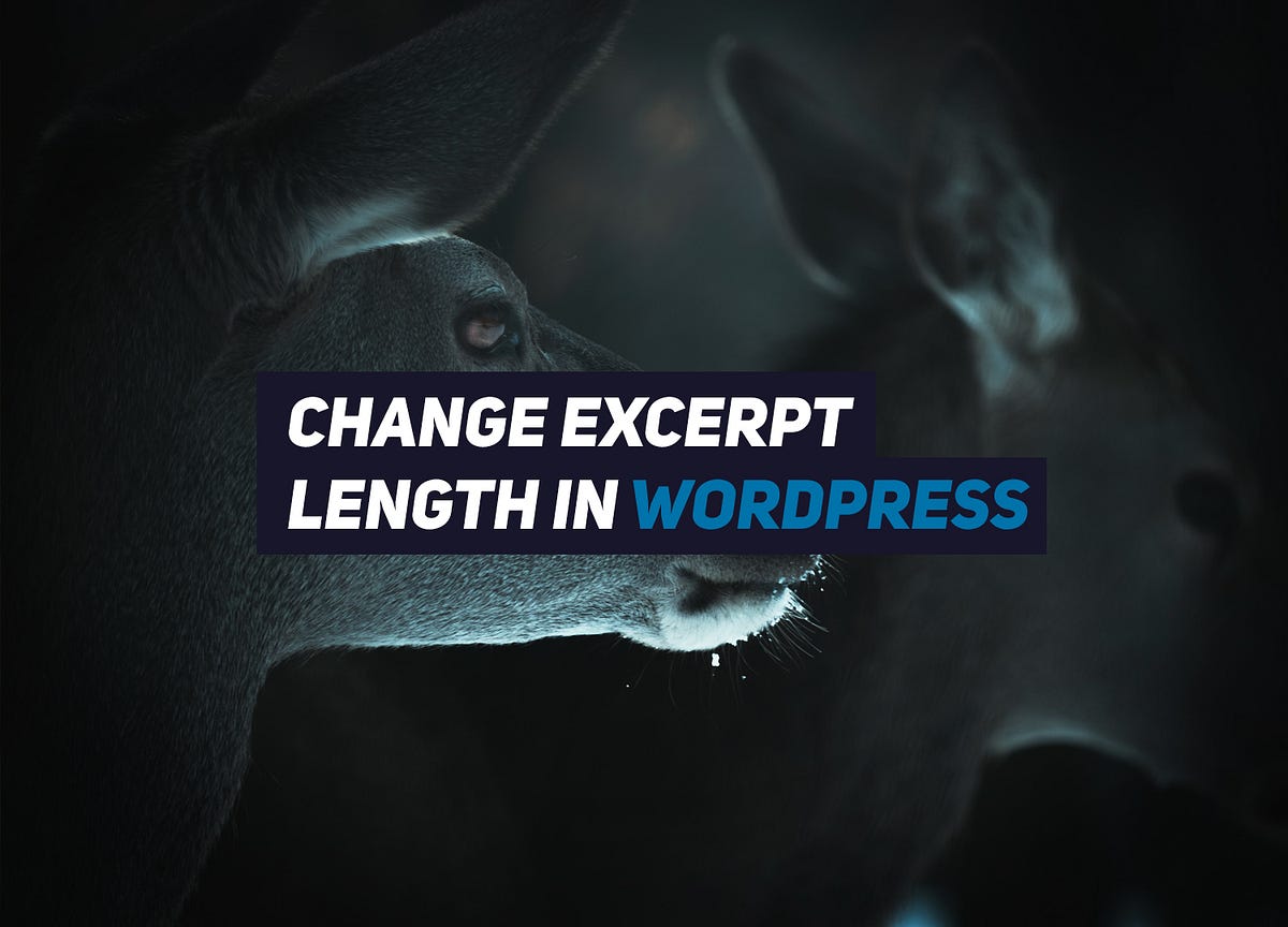 How to change excerpt length in WordPress | by Renat Galyamov | Medium