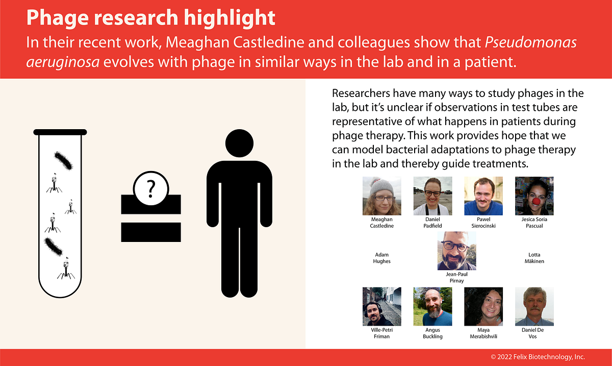 Research Highlight — From the lab to the bedside: predicting bacterial ...