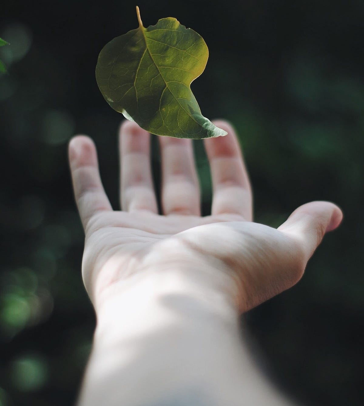 A platform that makes ESG analysis more efficient | by WEEFIN | Medium
