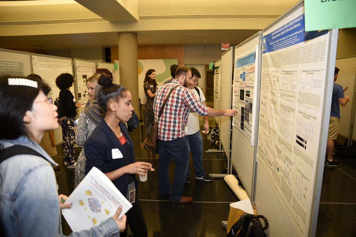 Here’s Why Public Funding of Diversity, Equity, and Inclusion Efforts ...