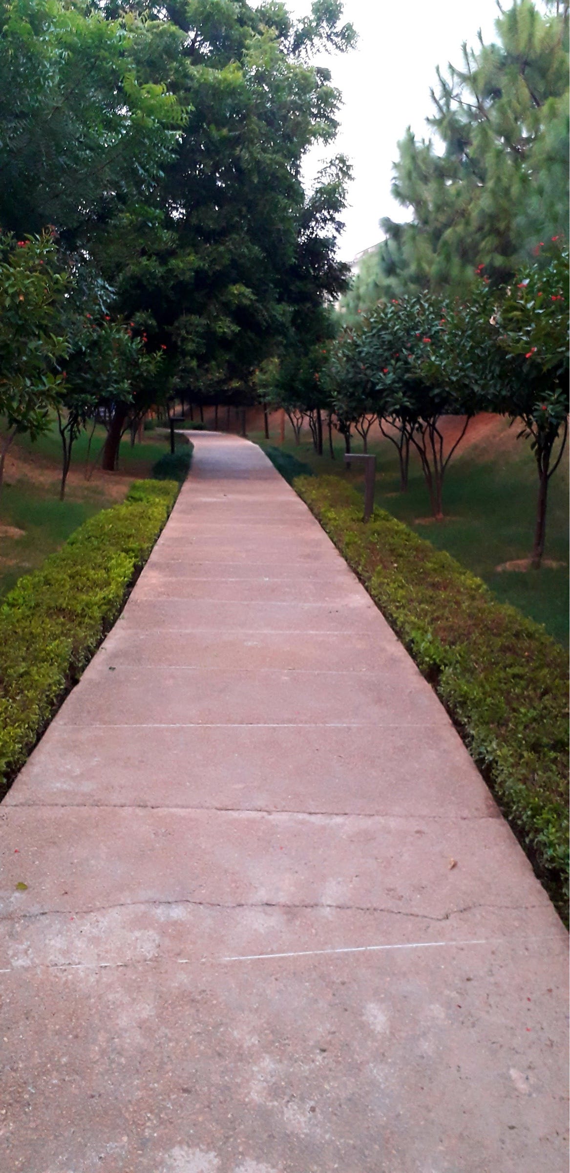 Dilemma (Poem). Photo by the author | by Chitrangada Sharan | Mid ...