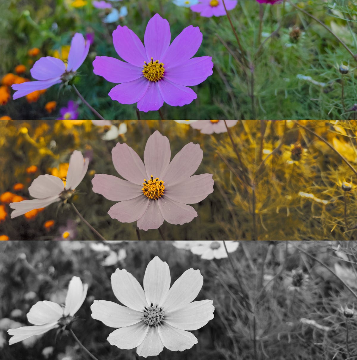 Augmented text generator using python with code | Medium