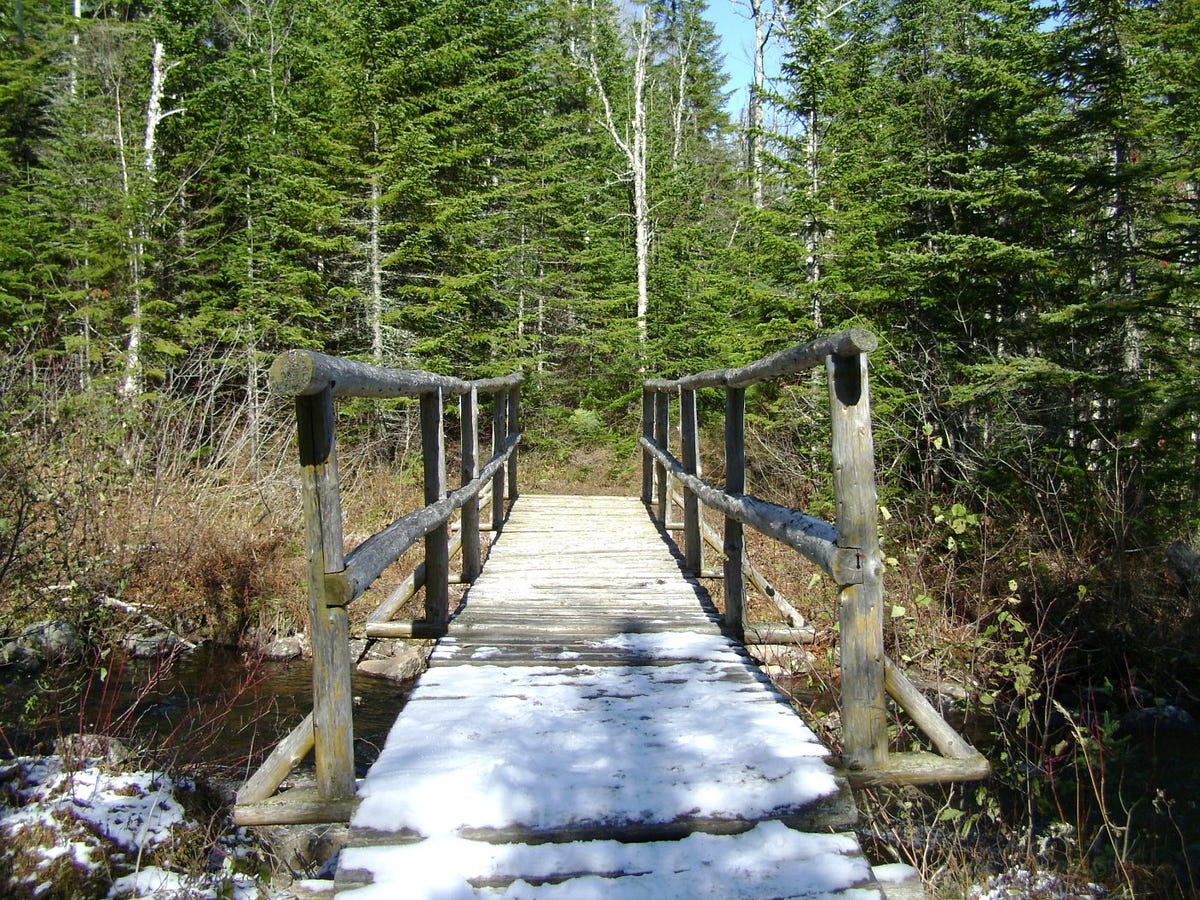 The Transformative Power Of Walking By Dan Rubinstein The Walk Blog