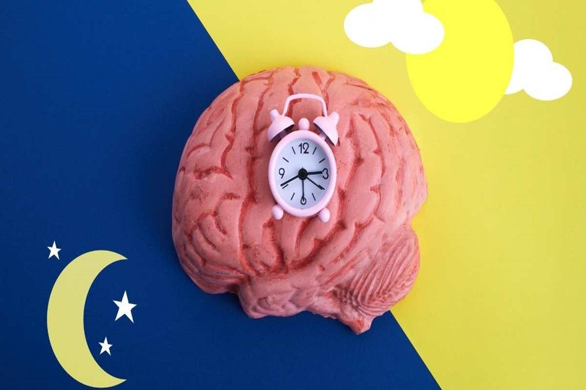 Improving Sleep Wake Cycle!. Key Takeaways: | by Rutuja Desai | Dec ...