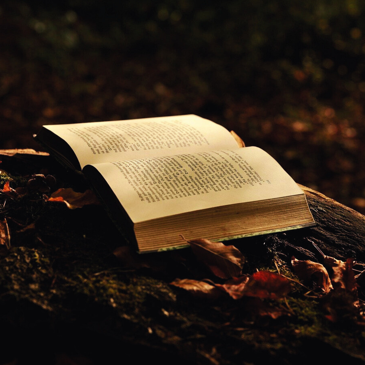 Writing Journey - Yusr Ayah - Medium
