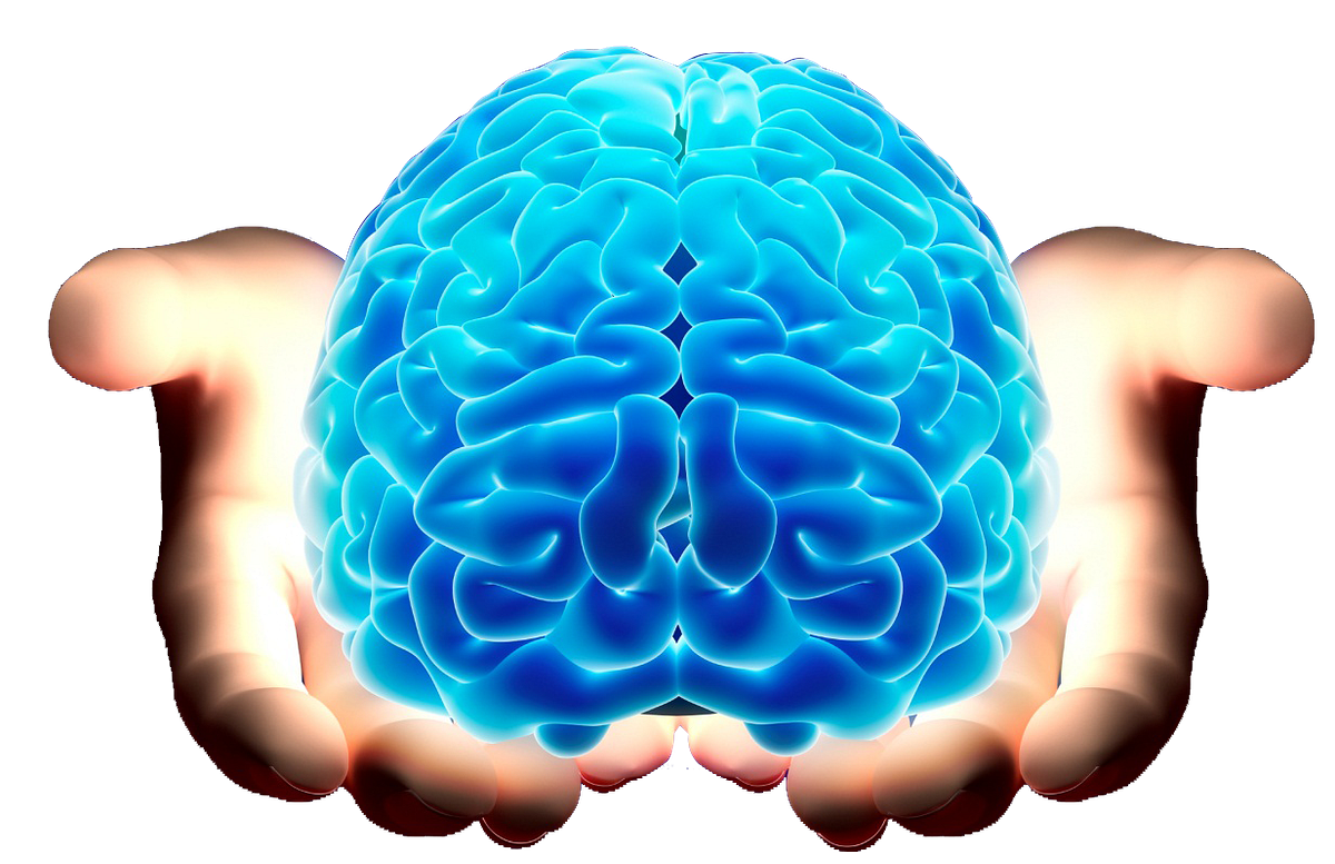 General Information on Concussion in Children | by Safia Fatima ...